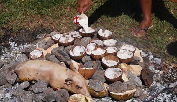 Samoa Tours Crafted for Culture, Nature & Adventure
