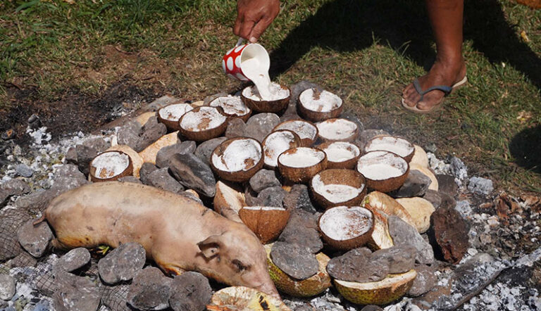 Samoa Tours Crafted for Culture, Nature & Adventure